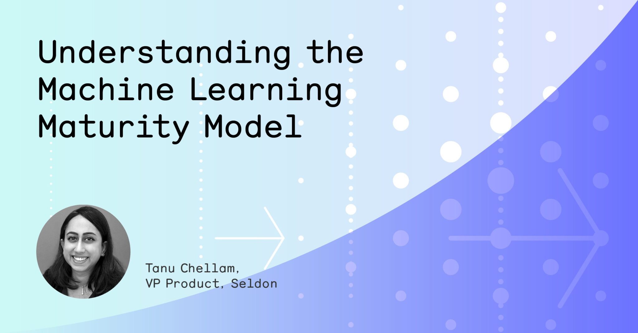 Understanding the Machine Learning Maturity Model - Seldon